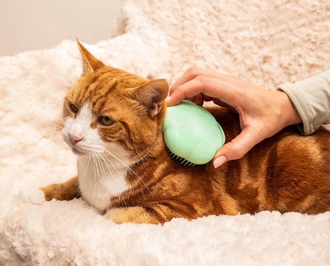 Cat Breed & Brush Guide – Tangle Teezer