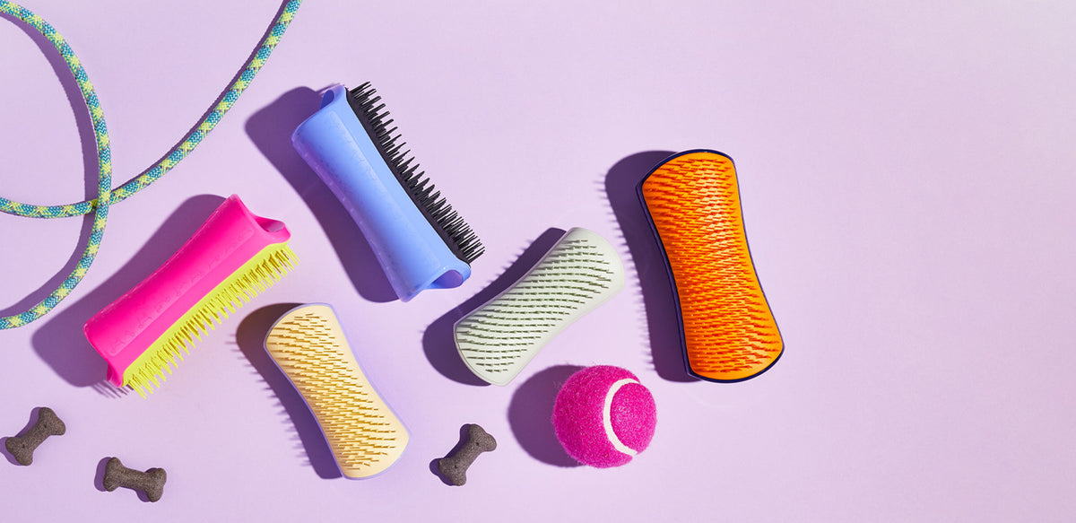 Dog Breed & Brush Guide – Tangle Teezer