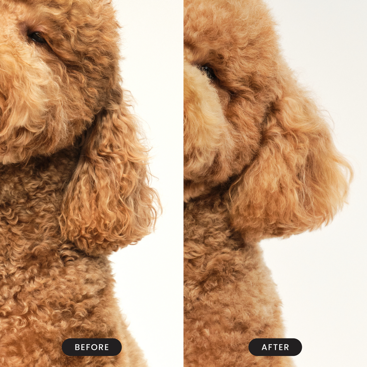 Detangling Dog Grooming Brush | Tangle Teezer